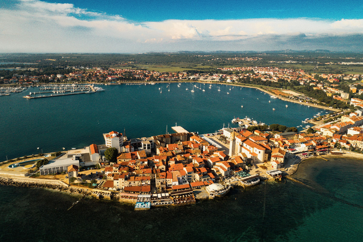 Location • Sea Star Festival 2025